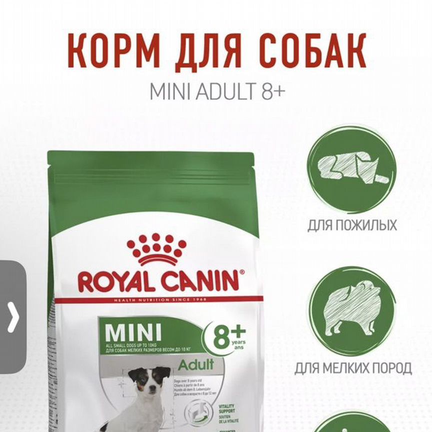 Корм для собак royal canin mini