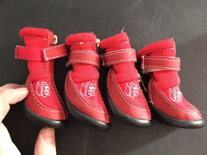 Ботинки зимние для собак