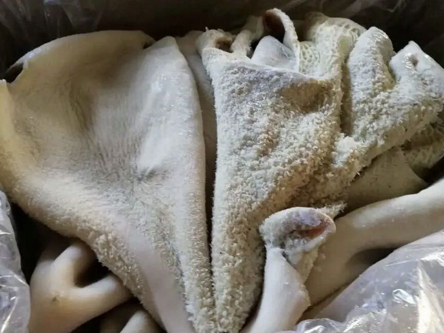 Собачье свинина говядина