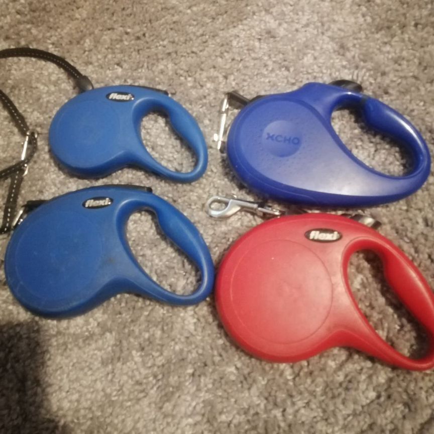 Рулетка для собак