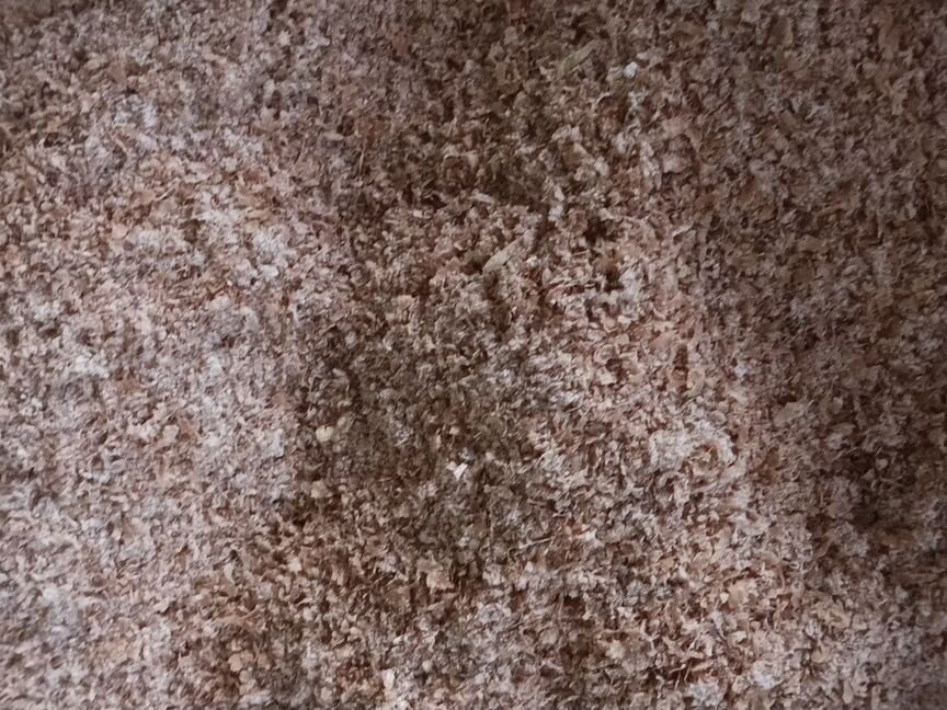 Отруби пшеничные