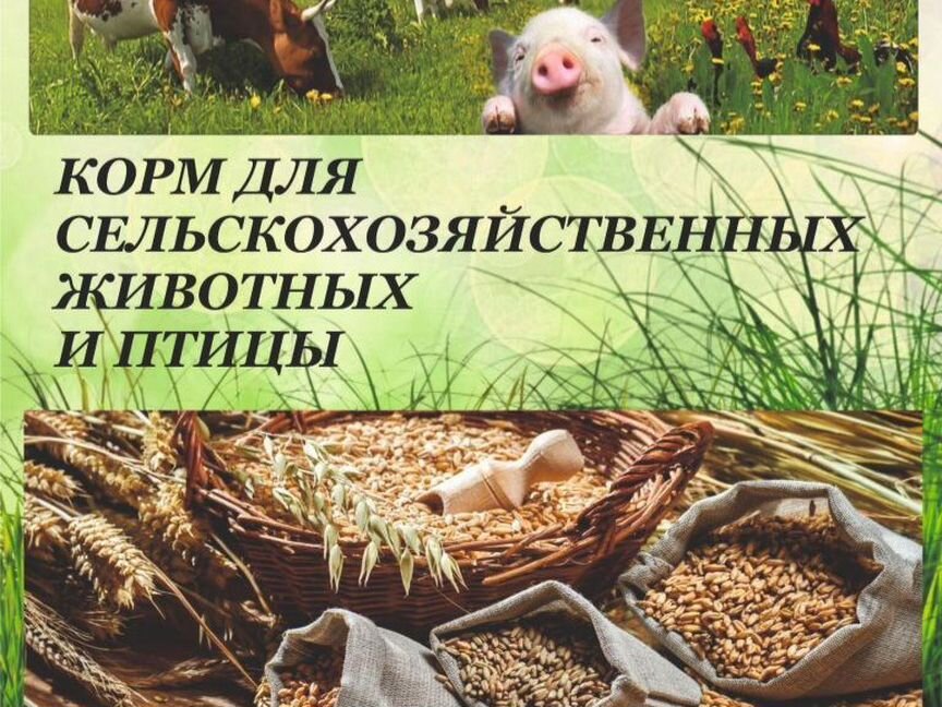 Комбикорм, зерно, отруби