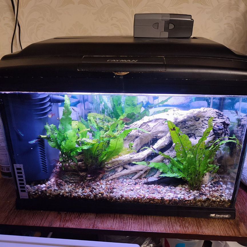Аквариум Ferplast Cayman 50