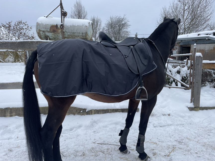 Продам полупопону