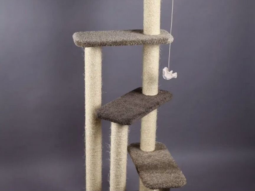 Когтеточка лестница