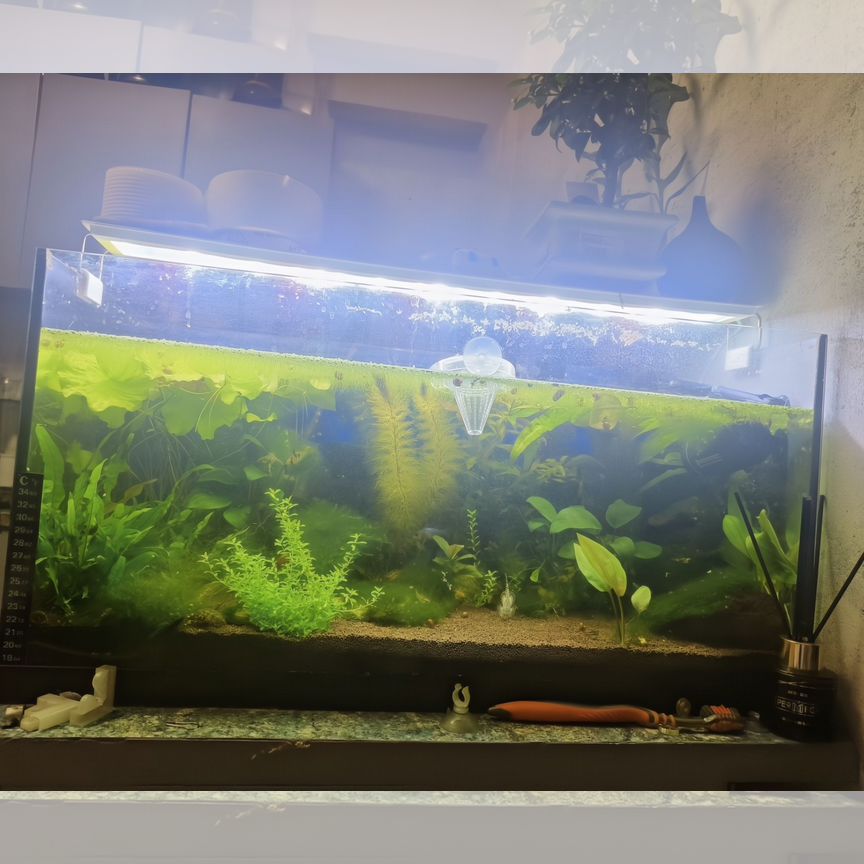 Аквариум Акваэль 65 л