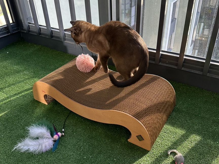 Когтеточка для кошек