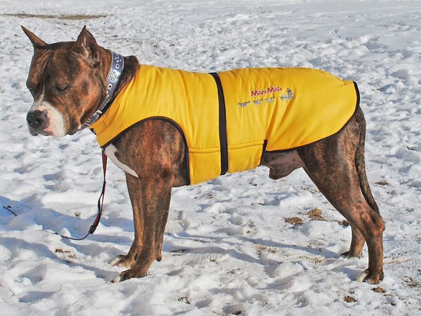 Накидка / попона теплая для собак (Чехия, ManMat)