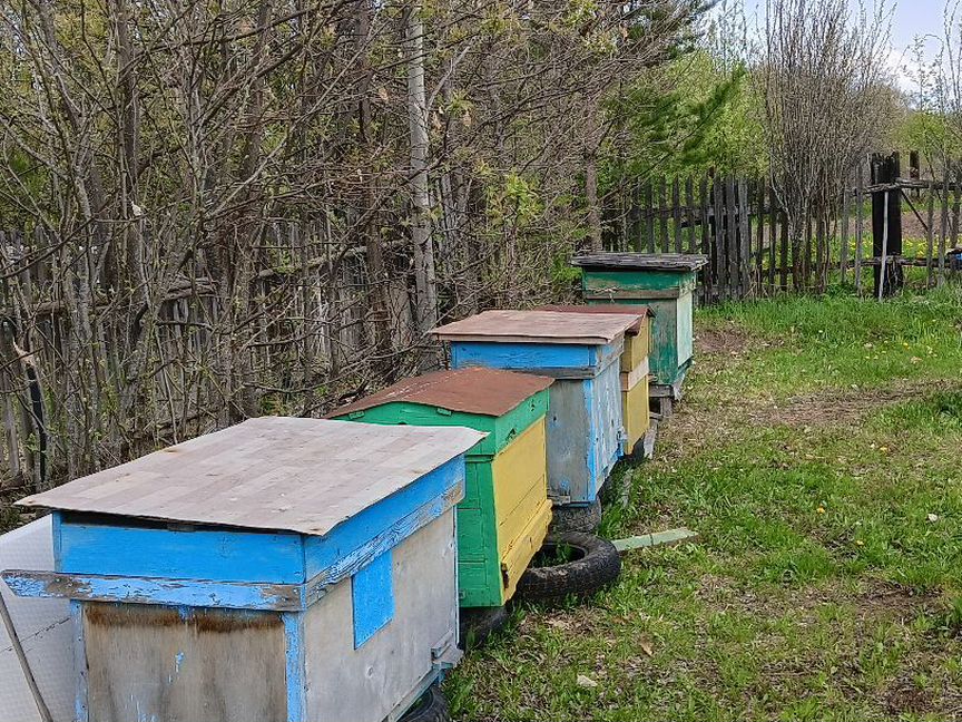 Ульи для пчел