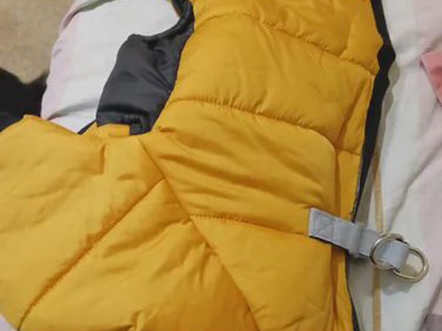 Зимнее пальто для собаки