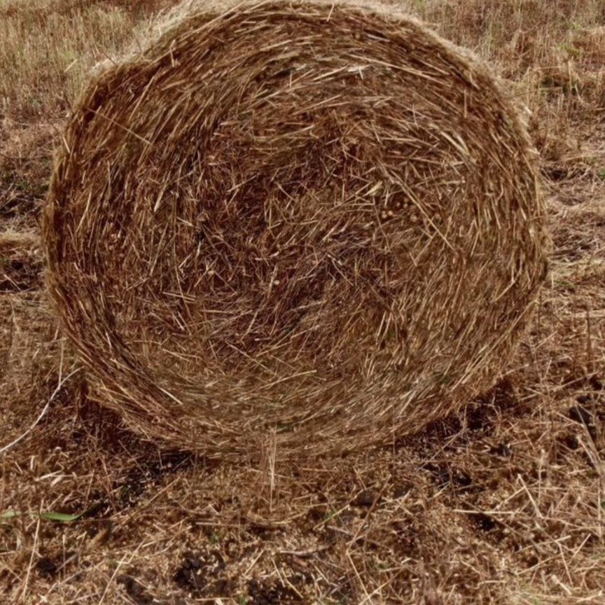 Льняная солома