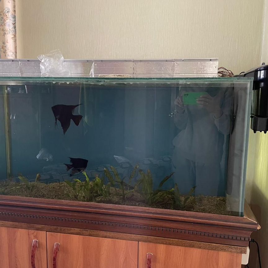 Продаю аквариум с тумбой 200 литров