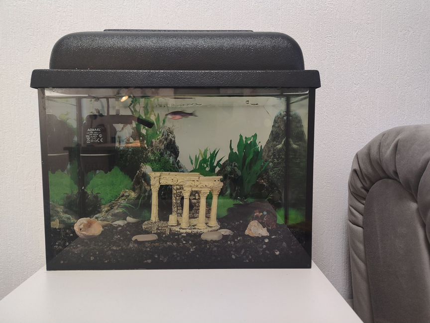 Аквариум 12л с рыбками