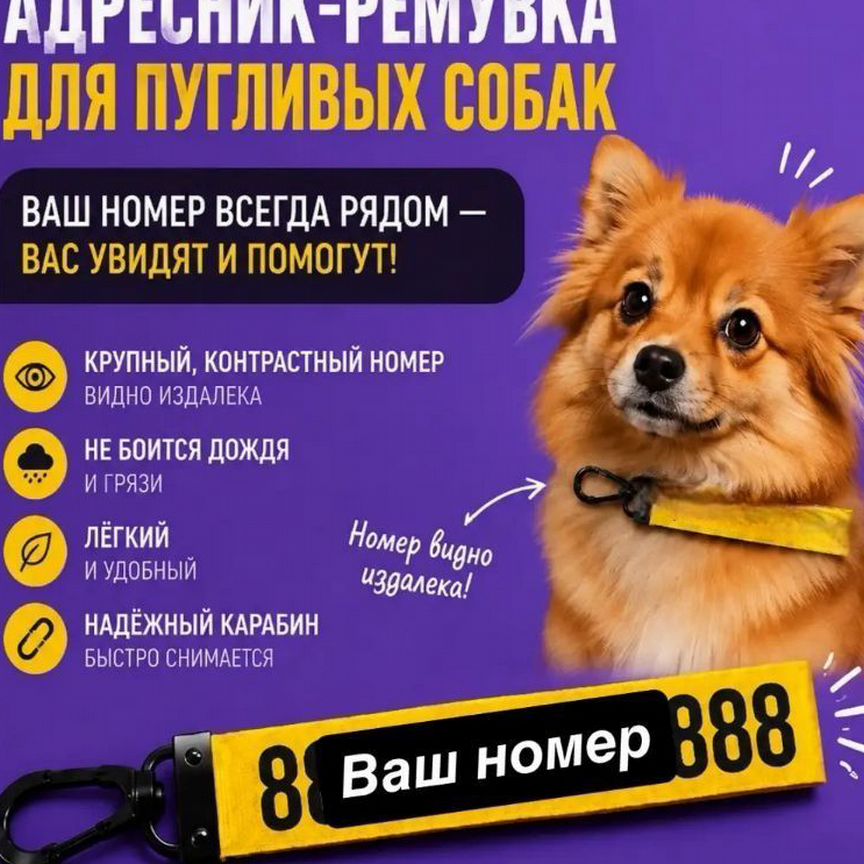 Адресник ремувка для трусливых собак