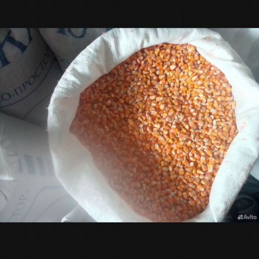 Продам зерно