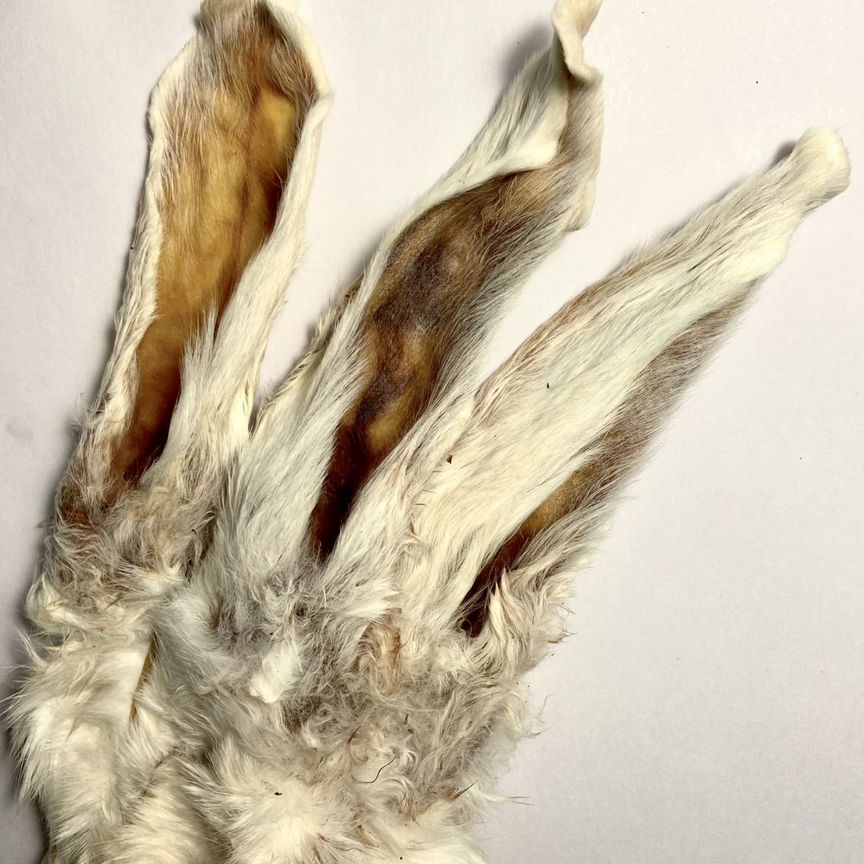 Кроличьи уши сушеные