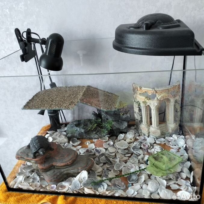 Продам черепашатник - аквариум