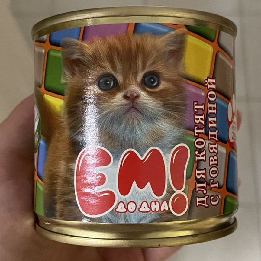 Влажный корм для котят