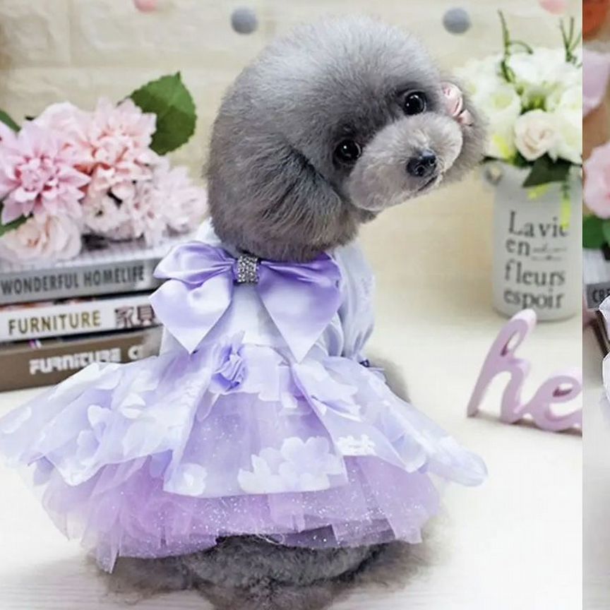 Платье для собак и кошек