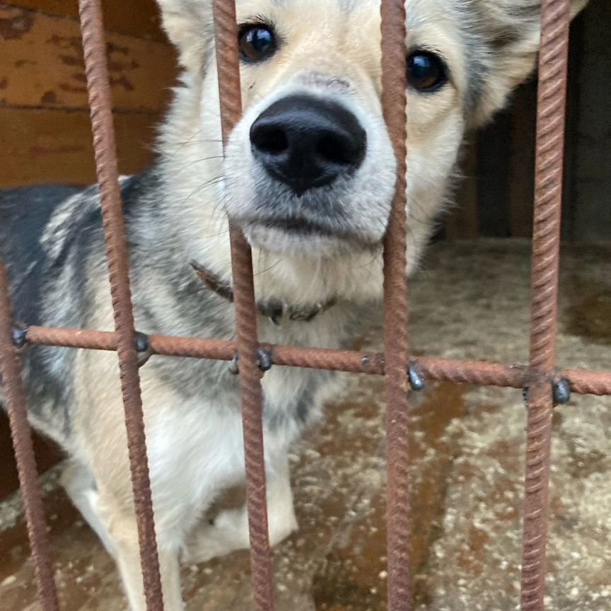 В самые добрые руки