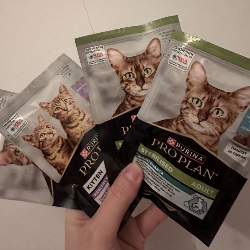 Корм для кошек проплан влажный
