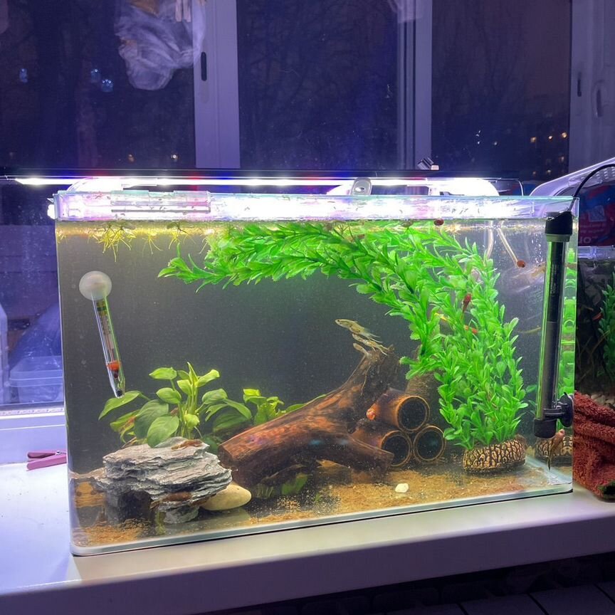 Аквариум с закругленными углами