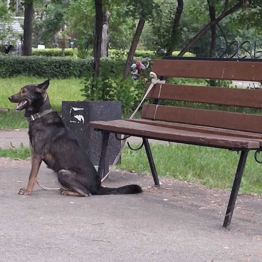 Выкинули, привязав к лавке