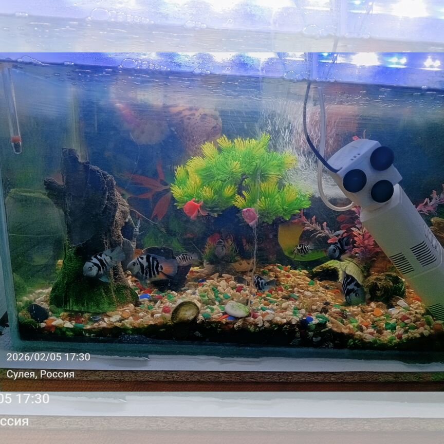 Аквариум с рыбками