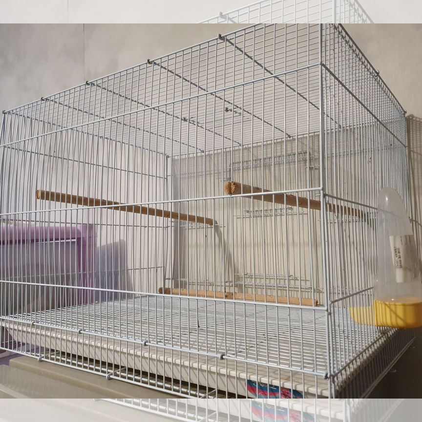 Клетка для птиц 604040