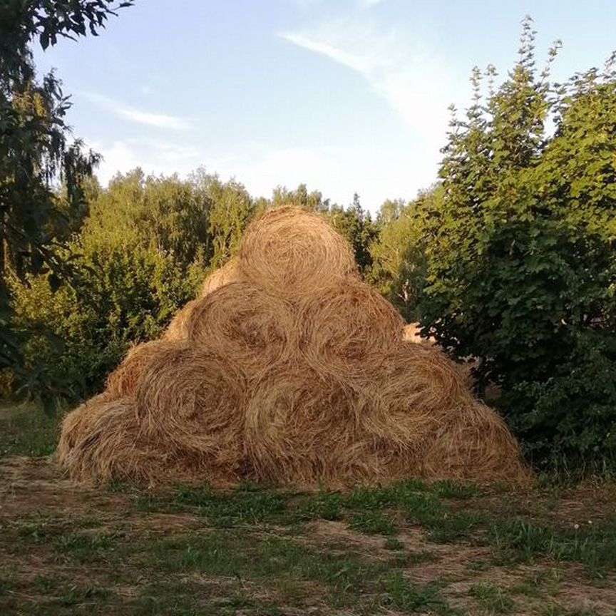 Продается сено рулонах по 150кг каждый