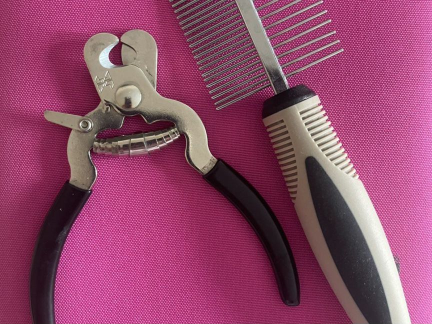 Ножницы для стрижки собак