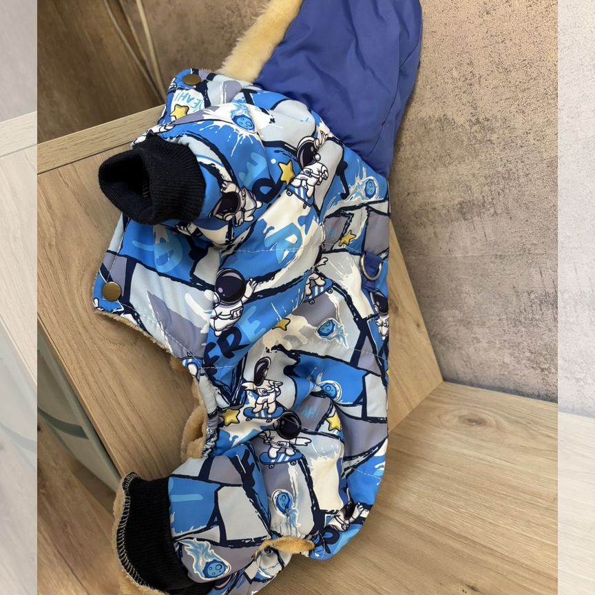 Одежда для собак