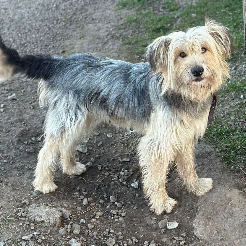 Кексик 1 год