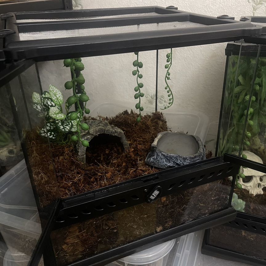 Террариум фирменный Exo terra 30*30*30