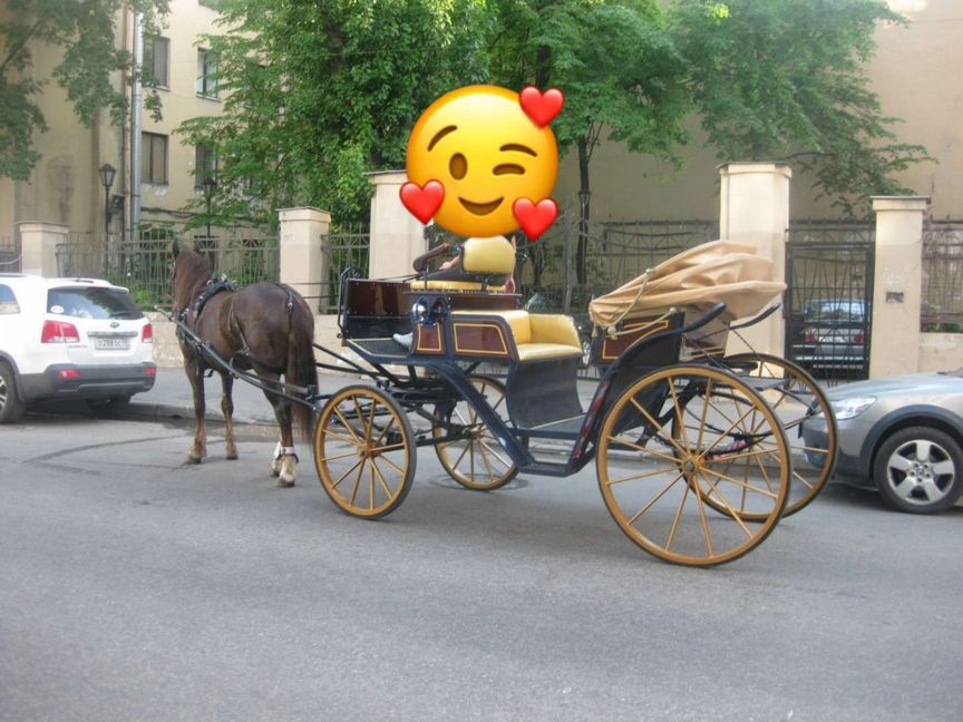 Экипажи для лошади
