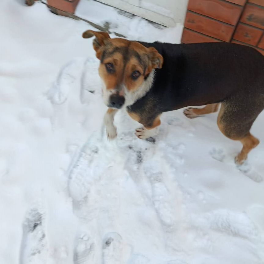 Чудесная девочка бесплатно