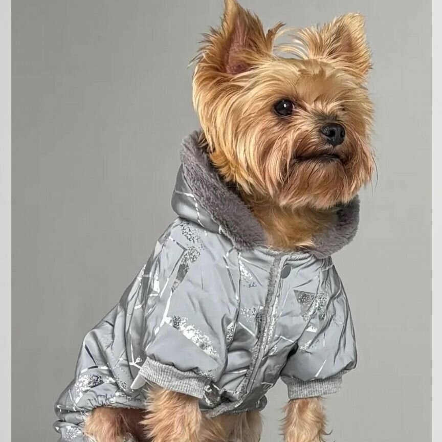 Комбинезон для маленькой собаки