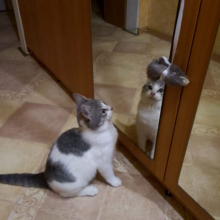 Невероятная малышка