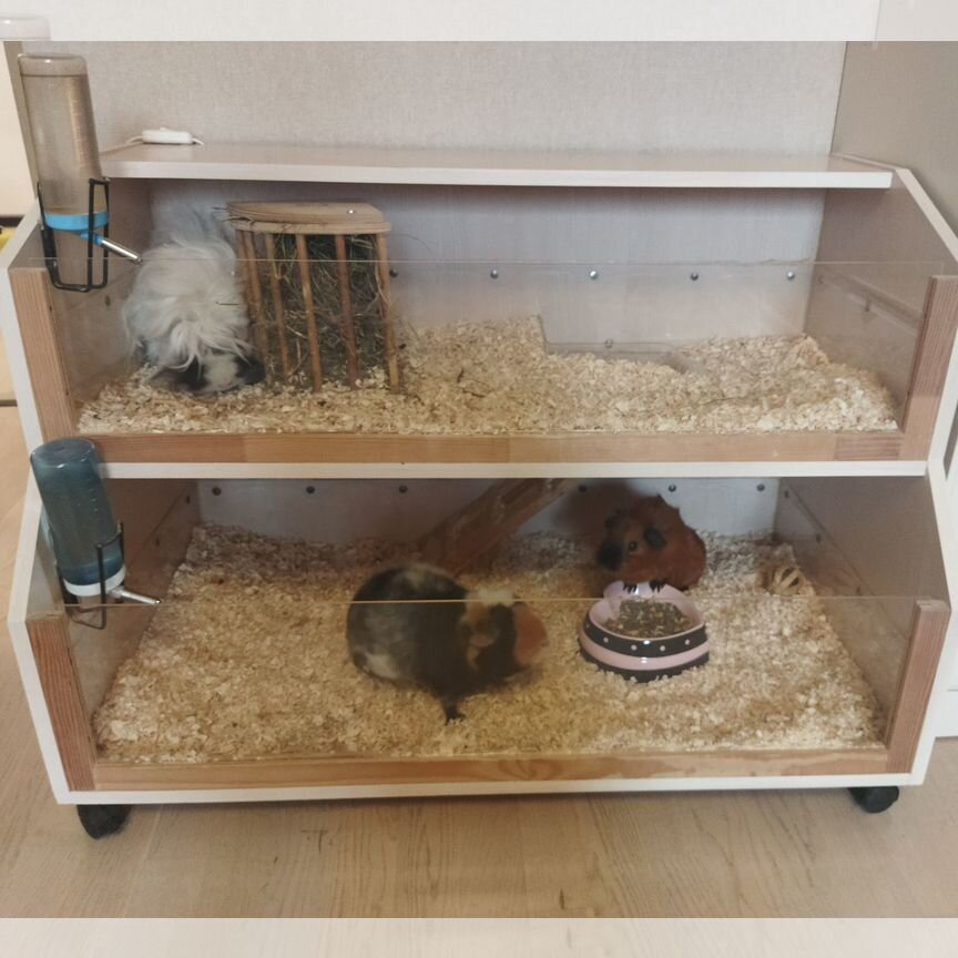 Стеллаж для морских свинок от "Мир Теремков"