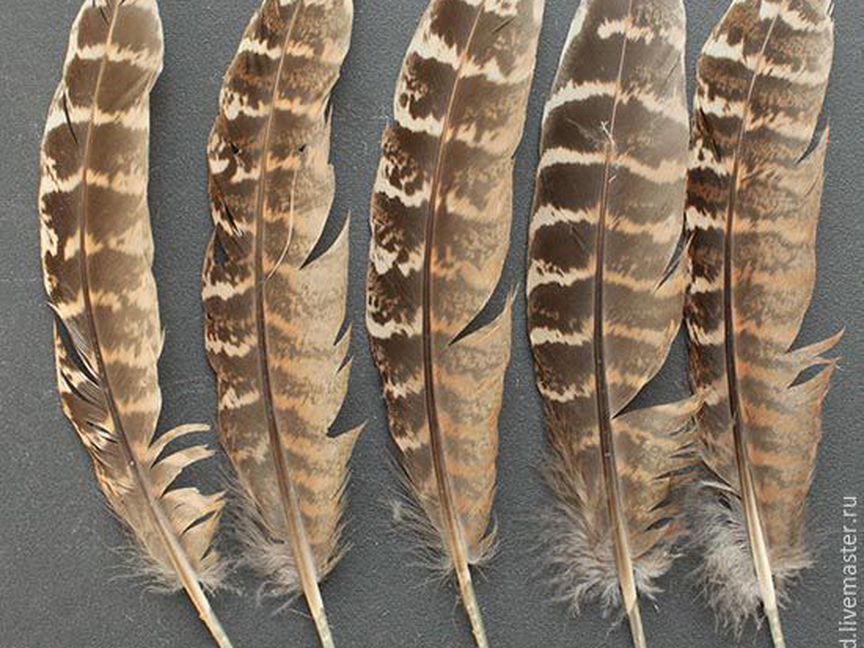 Перья для рукоделия