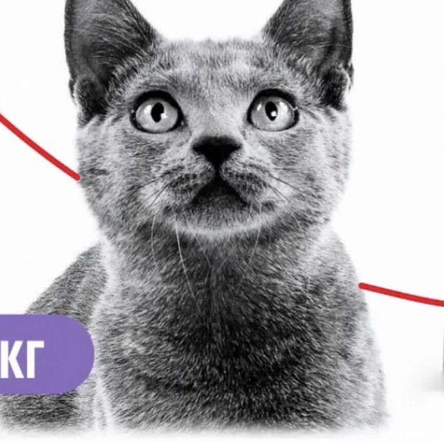 Royal canin сухой корм для стерилизованных 4 кг