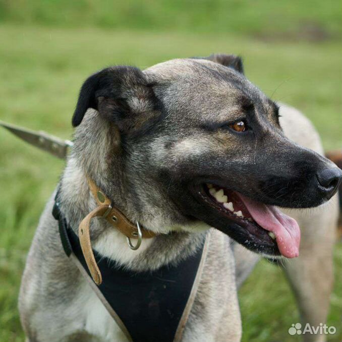 Добрая девочка хочет домой