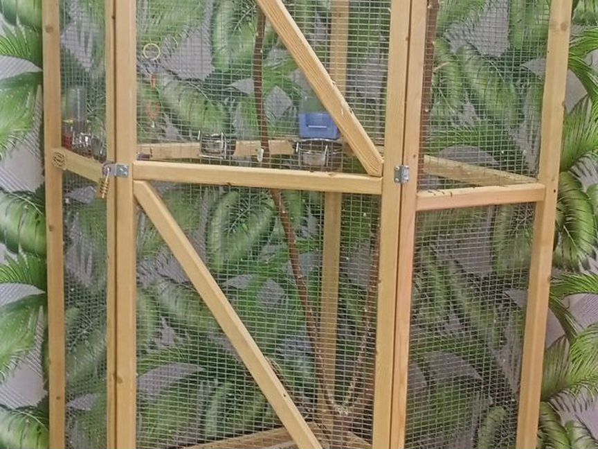 Продам попугаев вместе с большой клеткой