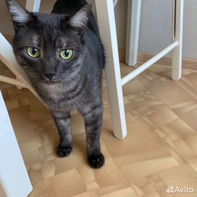 Отдадим в теплые руки