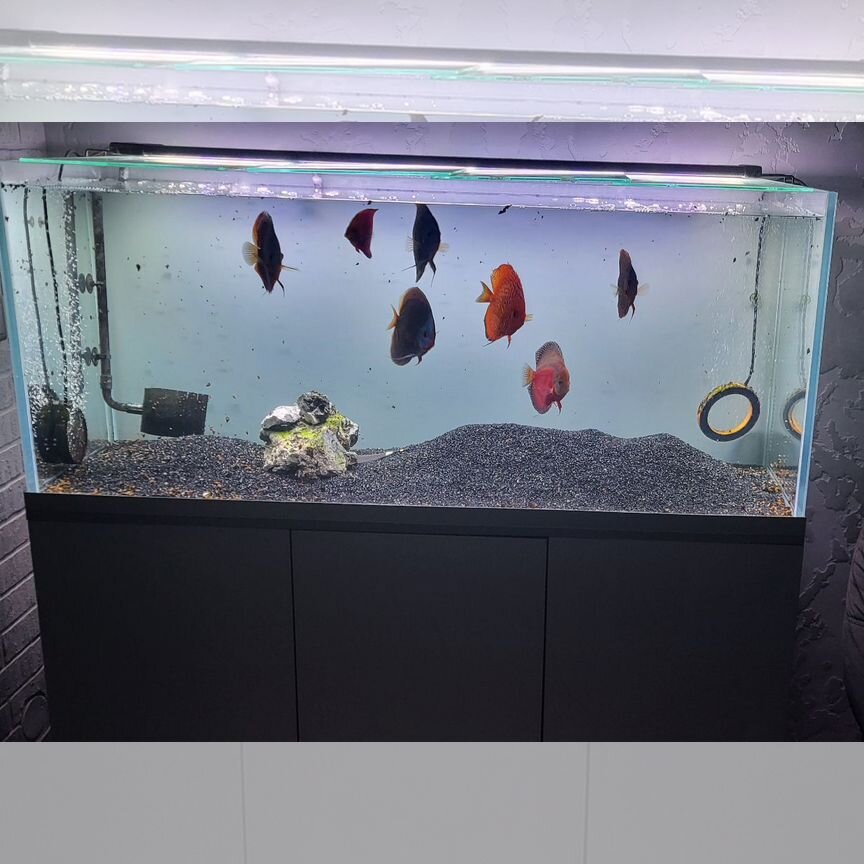 Продам аквариум