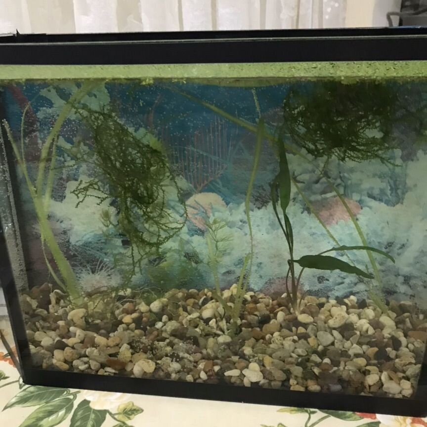 Аквариум 12л