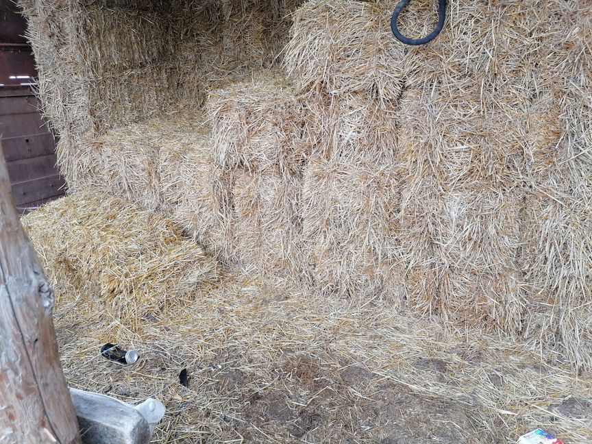 Солома ячменная в тюках