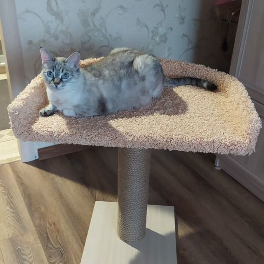 Лежанка для кошек