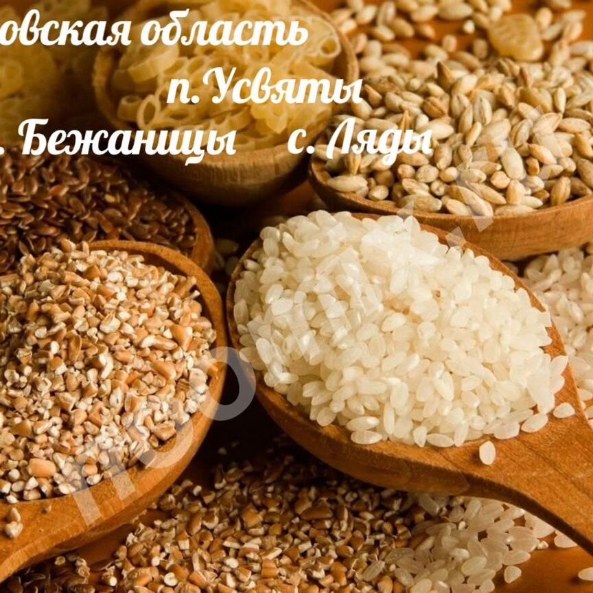 Продукты на корм животным (Псковская область)