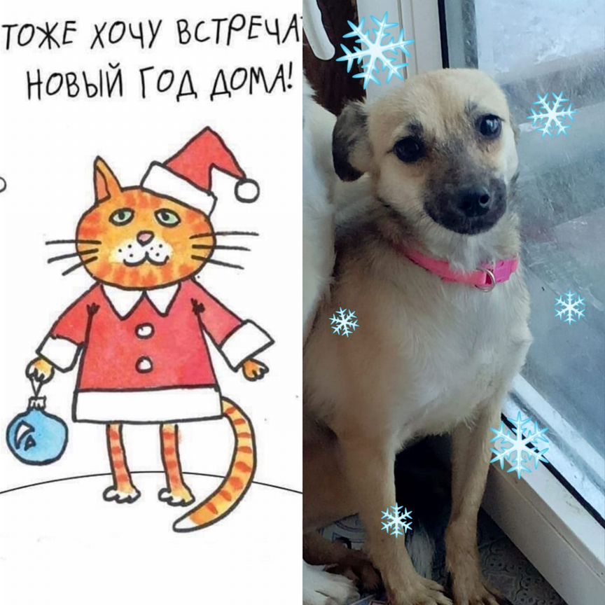 Глория ждёт своего человека